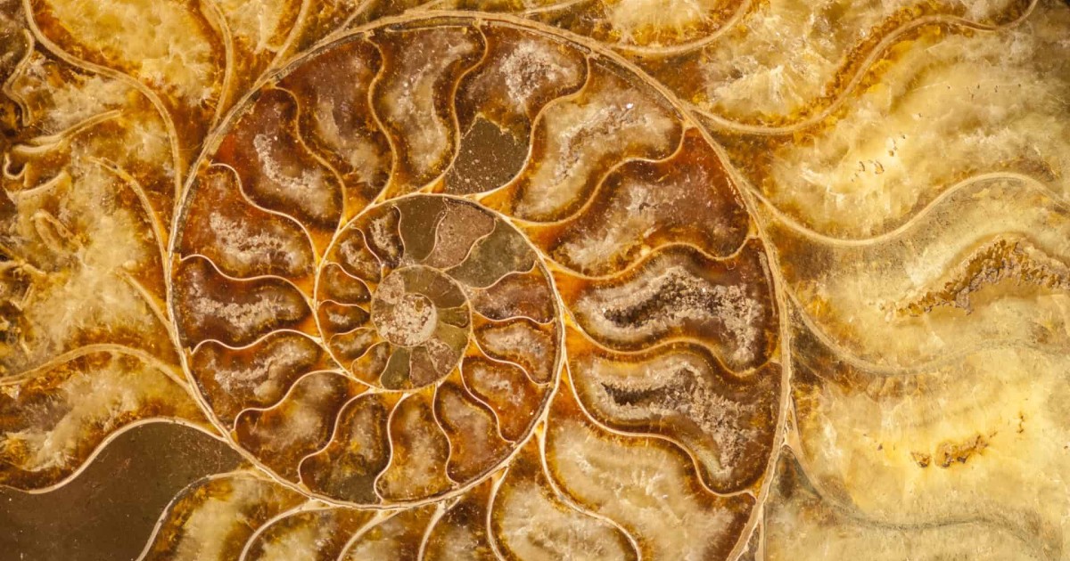 The Data Evolution — Part I | data.world