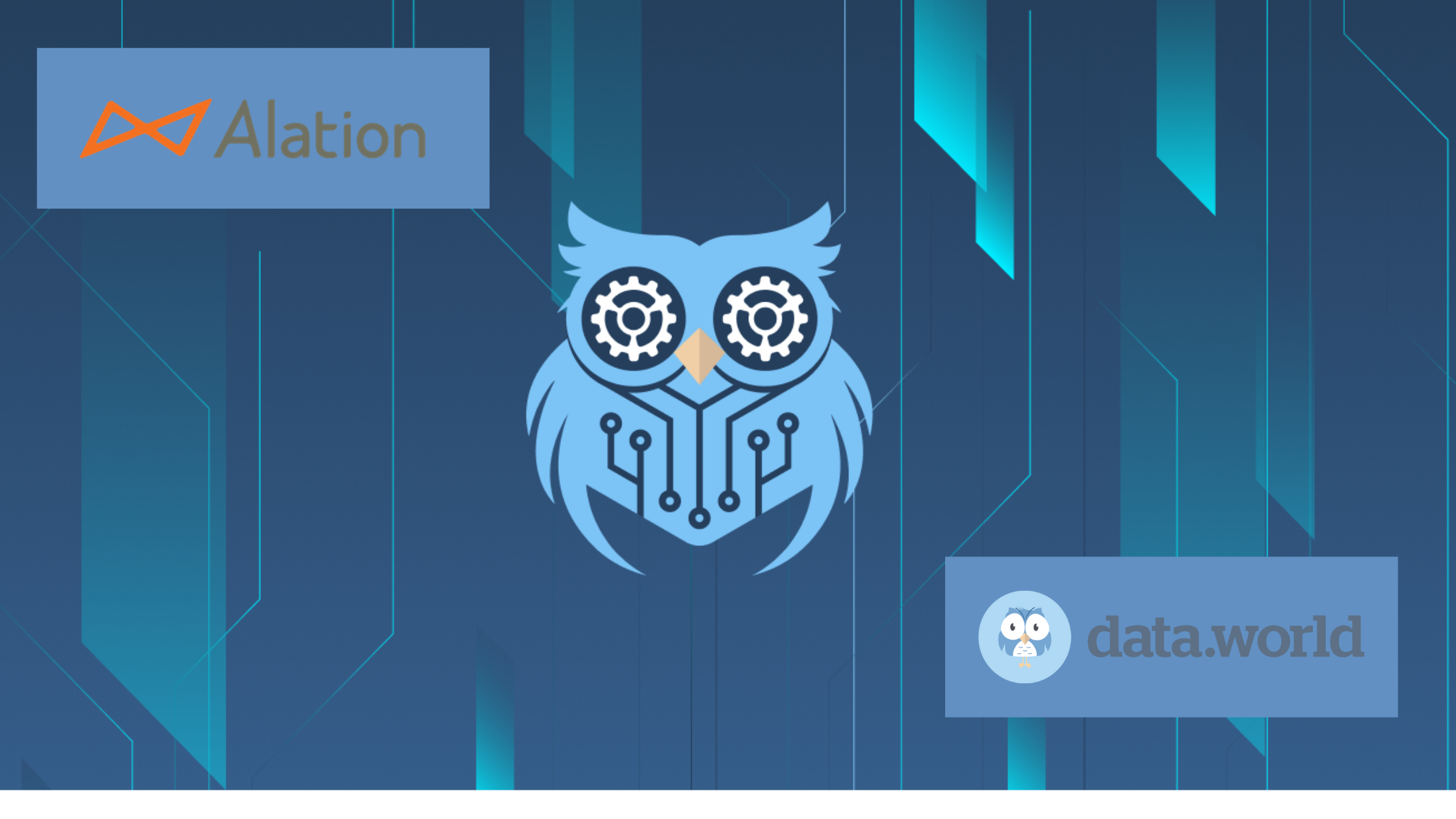 Alation pricing: Capabilities & top alternatives | data.world