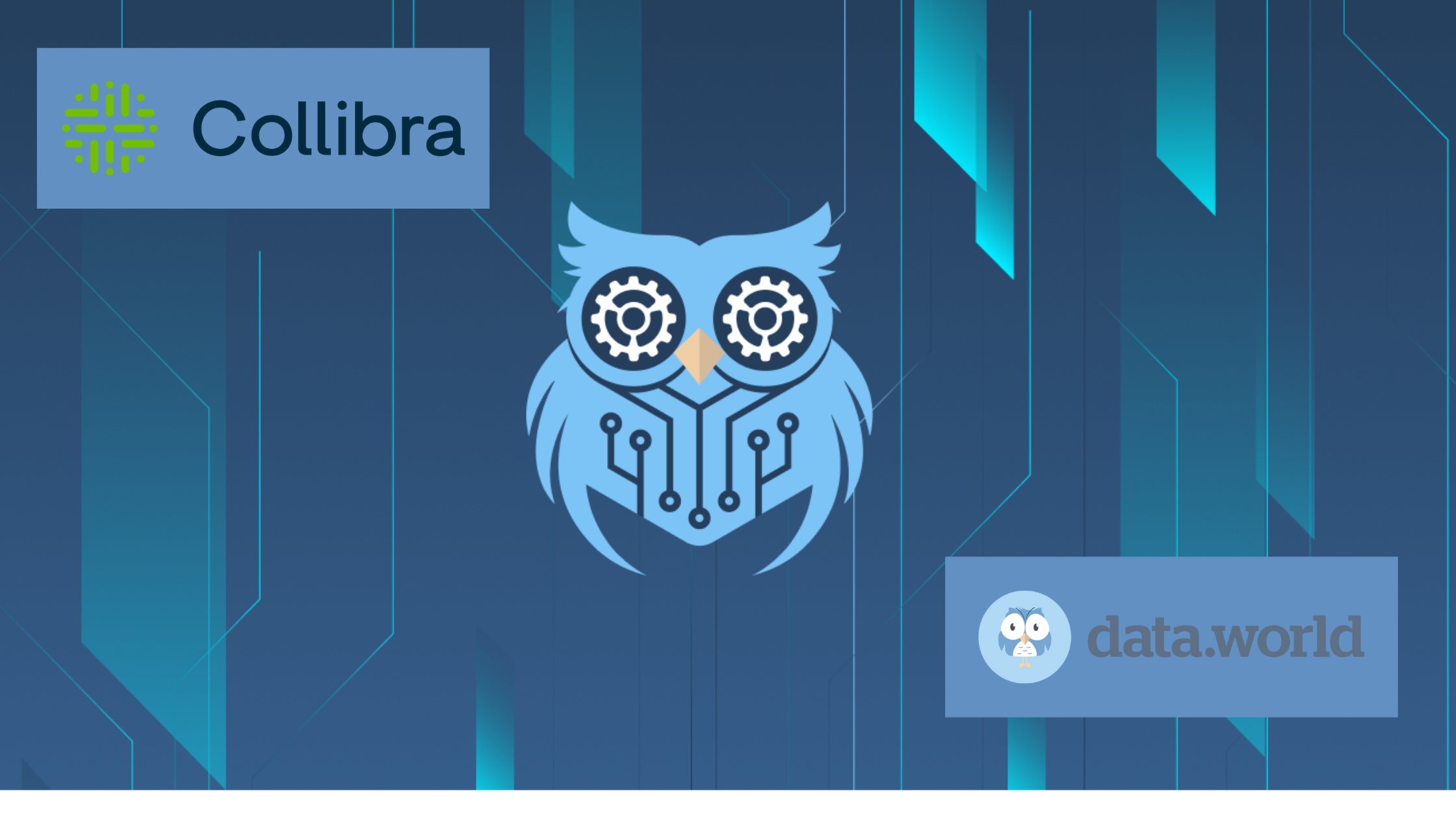 Collibra pricing: Pros, cons, & more | data.world